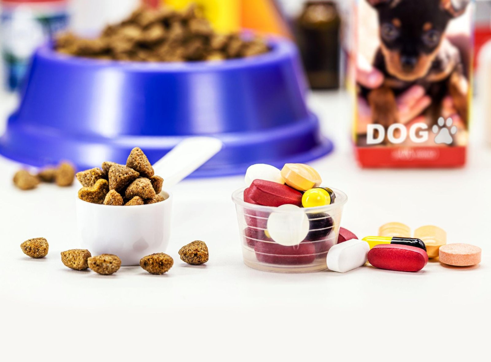 Best Dog Supplements in Philadelphia, PA | Fetch and Feast